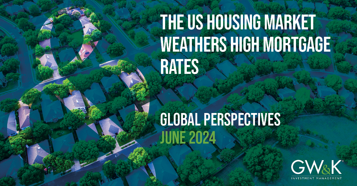Navigating the Concentrated Stock Market